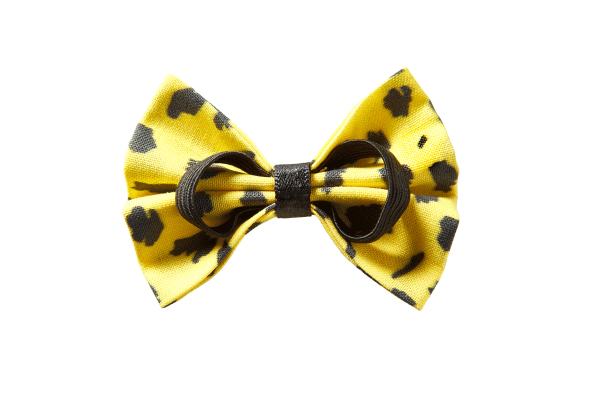 Dogs Trust Freedom Butterfly | Bowjangle Dog Bows