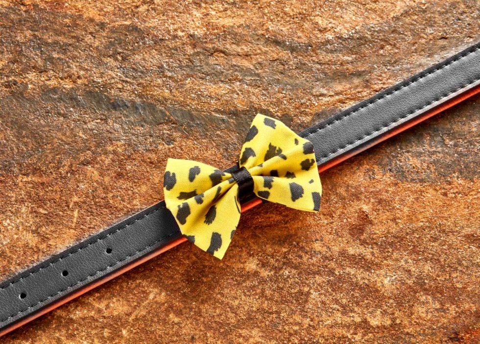 Dogs Trust Freedom Butterfly | Bowjangle